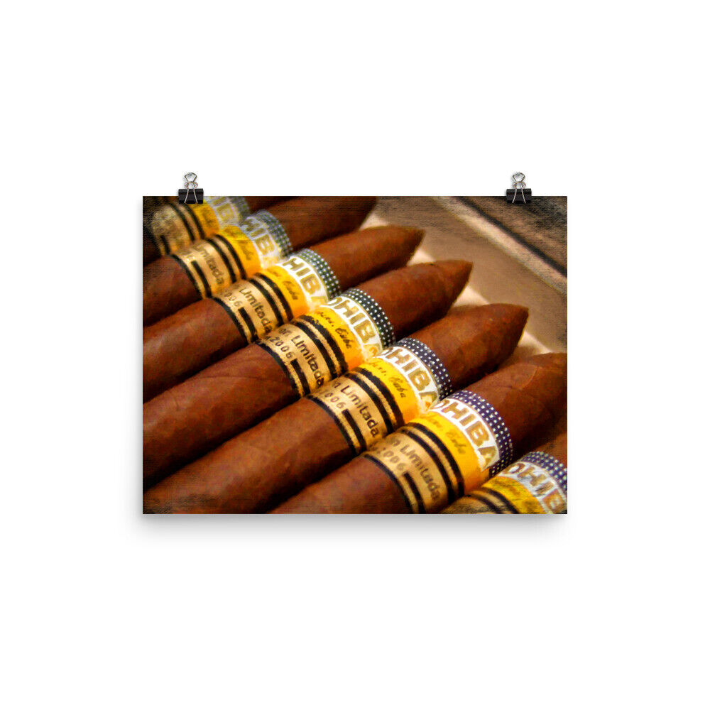 Cohiba Cigar Painting Cigars Poster – Rubino Creative Fine Art