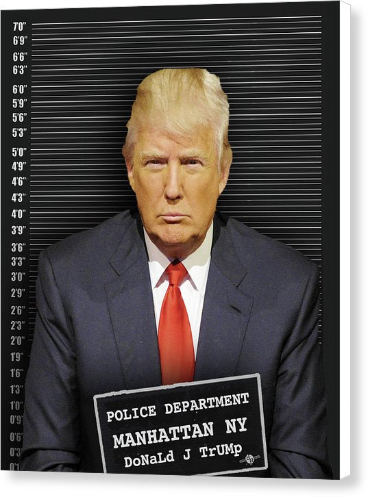Donald Trump Mugshot - Canvas Print – Rubino Creative Fine Art